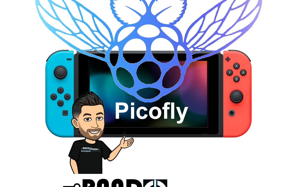 Installation Puce Picofly pour Nintendo Switch | RandoTech ...