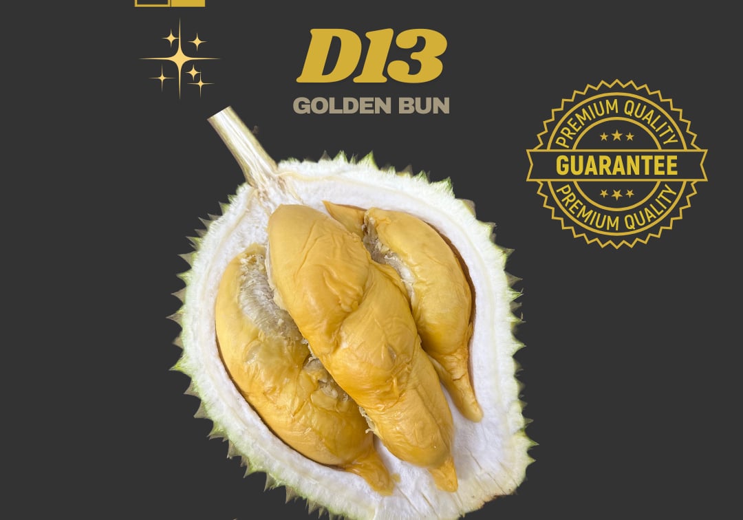 Buy Now D24 Durian - D24 XO Sultan King Durian Bitter | Rolling Durian
