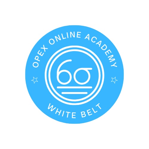 Lean Six Sigma White Belt Certification | Opex Online Academy