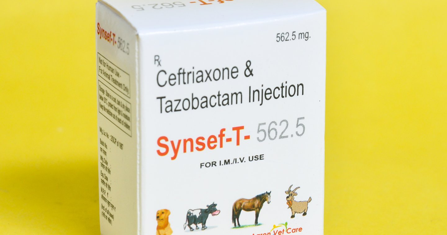 Ceftriaxone & Tazobactam Injection | AGRON REMEDIES