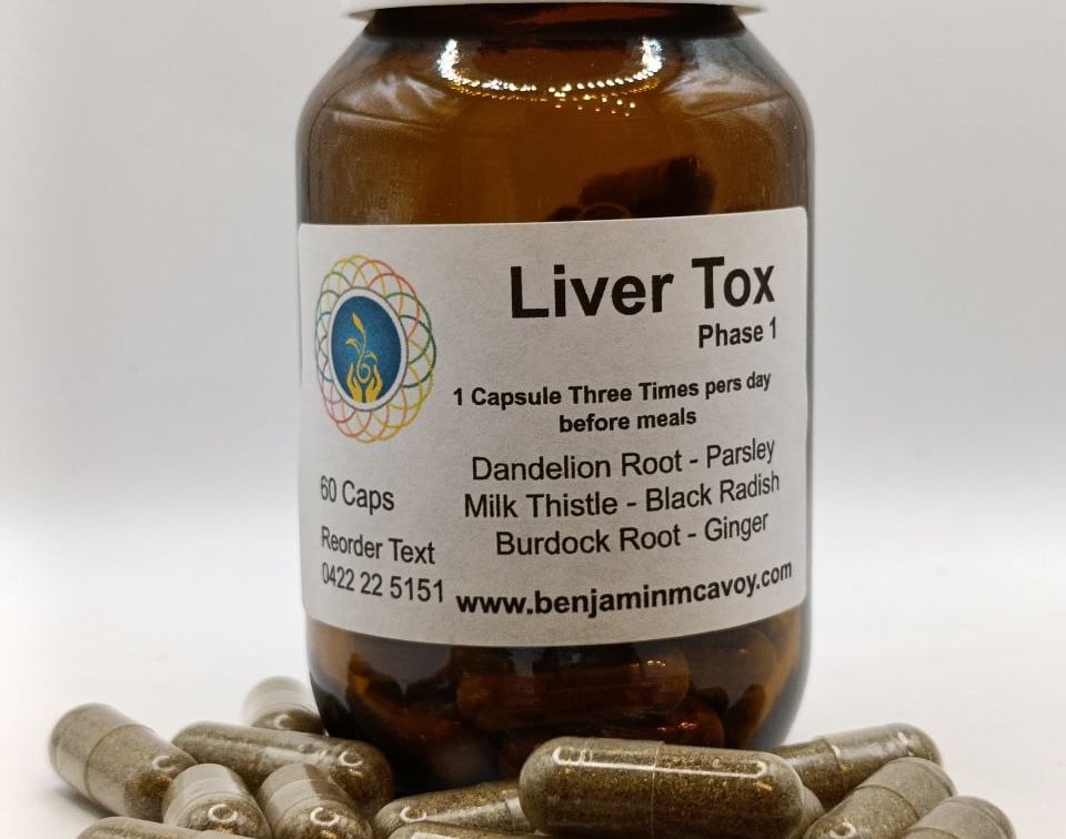 Liver Tox Phase 1 | BENJAMIN MCAVOY