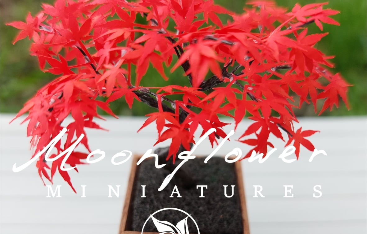 Miniature Maple bonsai tree 1:12 | moonflower miniatures