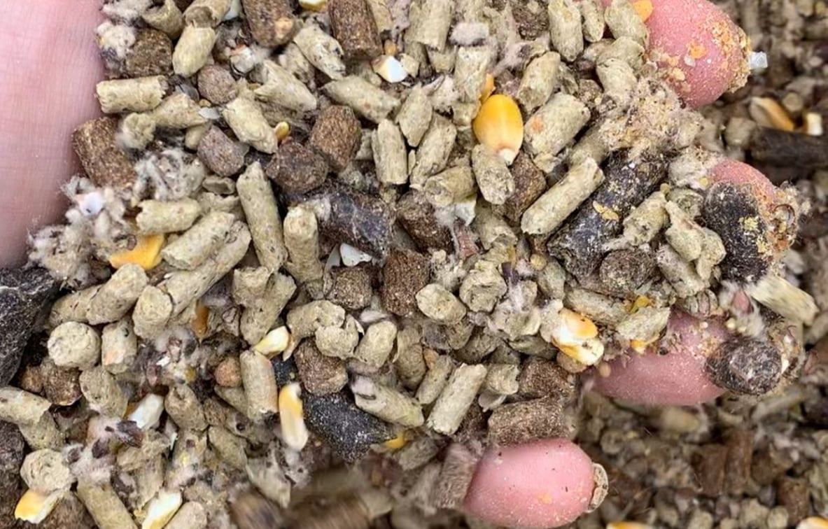 Bulk Cattle Feed for Sale - Quality Options Available | WANN RANCH