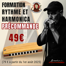 Apprenez l'harmonica en ligne et en présentiel | apprendrelharmonica.com