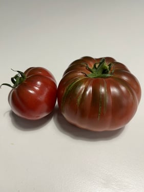 Chocolate Stripes Tomato | NRTomatoseed - heirloom tomato seeds