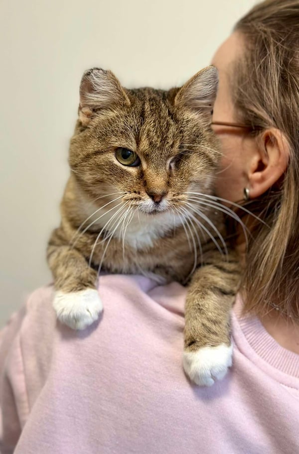 Velarė | Prieglauda ,,SOS gyvūnai"