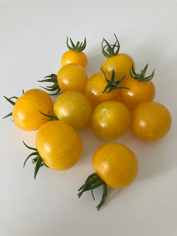 Jack Off-White Yellow Cherry Tomato Seeds - Sweet and Flavourful ...