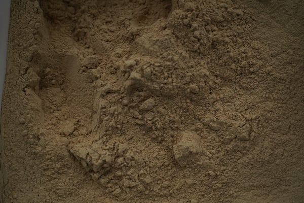 Gallnut: A Rich Source of Tannins | Organic Mordant | Forests and ...