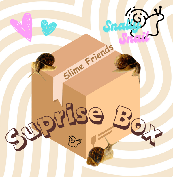 Surprise Box of Pet Snails: Captive-Bred, Healthy, and Diver ...