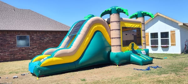palm tree bounce house with slide rental OKC | Bounce It OKC