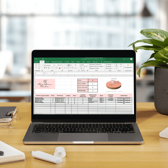 Plantilla en Excel para el Control de Invitados de Boda 💍🎉 | jd ...