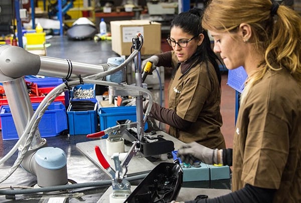 +dip-deepseek Business Diploma | deepseek