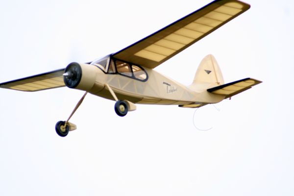 Ladybird - KK Free Flight/RC Model Aircraft - Laser-cut Balsa WING RIB ...