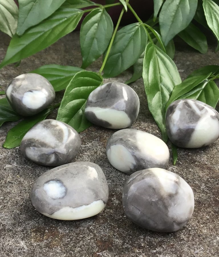 Shell Jasper - Tumbled Stone | KissedByAngels.com