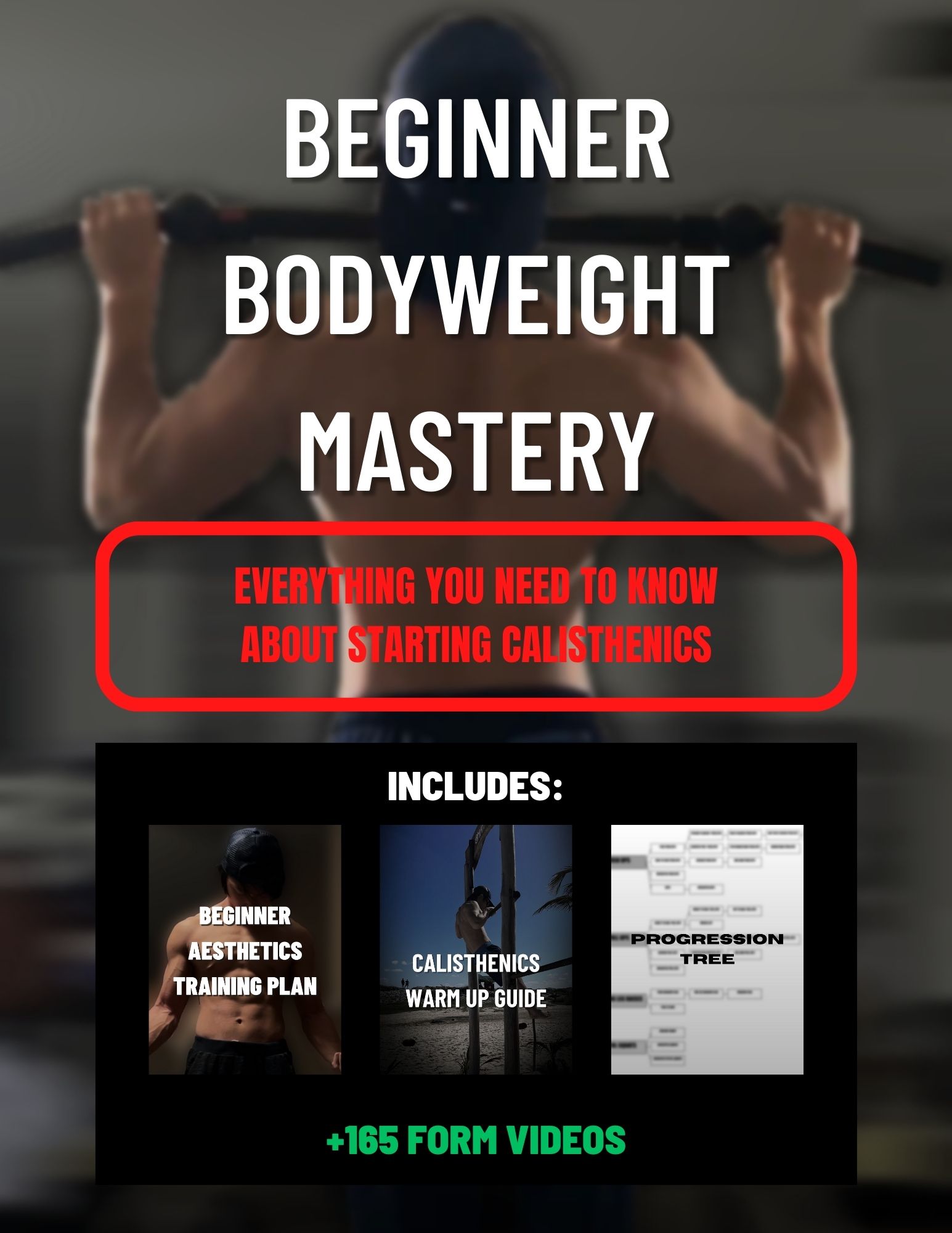 Beginner Bodyweight Mastery Guide | Seventhenics | Start Your Journey Today