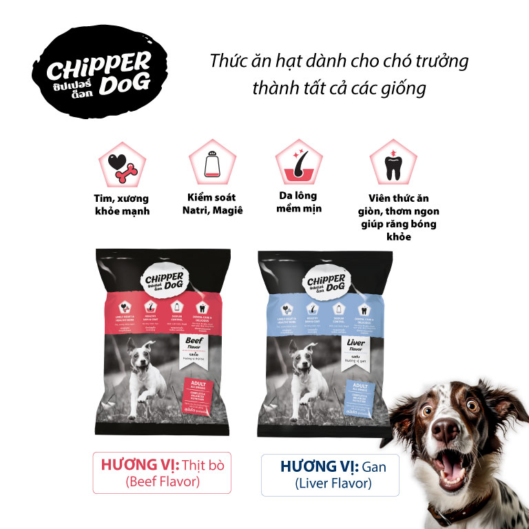 THỨC ĂN CHÓ MỌI LỨA TUỔI CHIPPER DOG | Dr.VET Veterinary Hospital